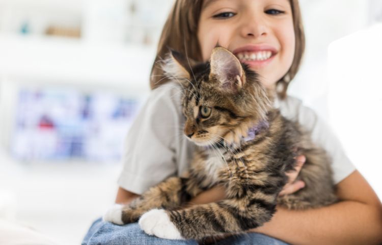 Οι 6+1 υπηρεσίες της πλατφόρμας Pet.gov.gr - Κατοικίδια εν δράσει