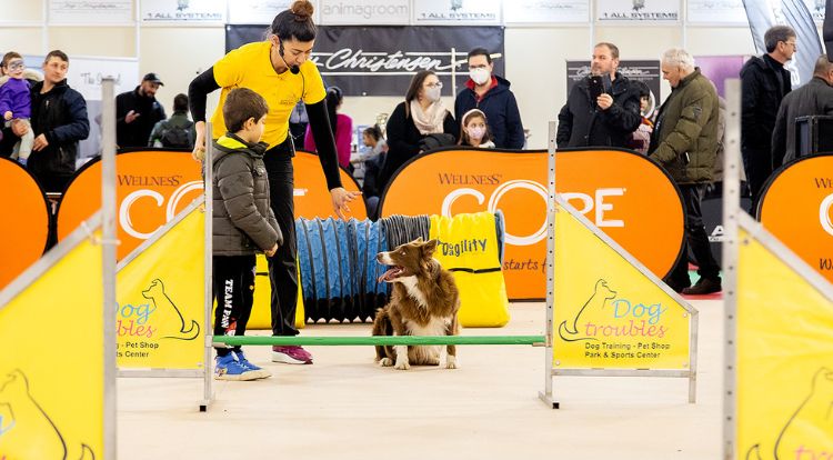 Discover Dogs: 24-25 Φεβρουαρίου 2024 / Θεσσαλονίκη / ΔΕΘ HELEXPO ...