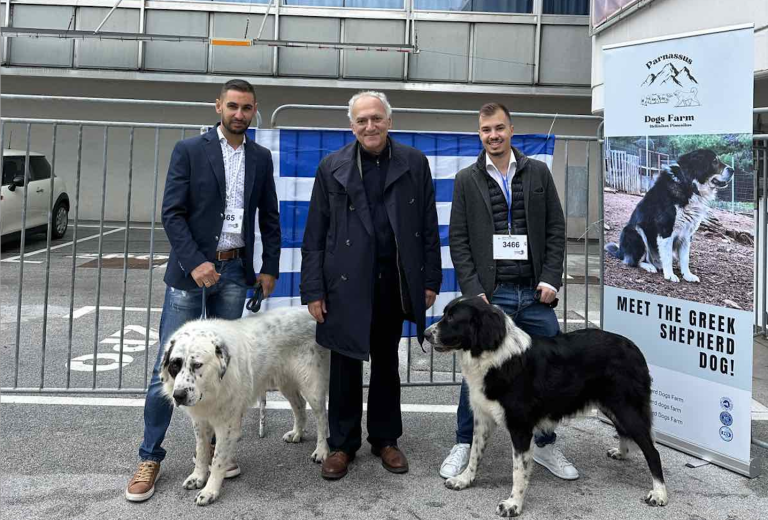 Οι 6+1 υπηρεσίες της πλατφόρμας Pet.gov.gr - Κατοικίδια εν δράσει