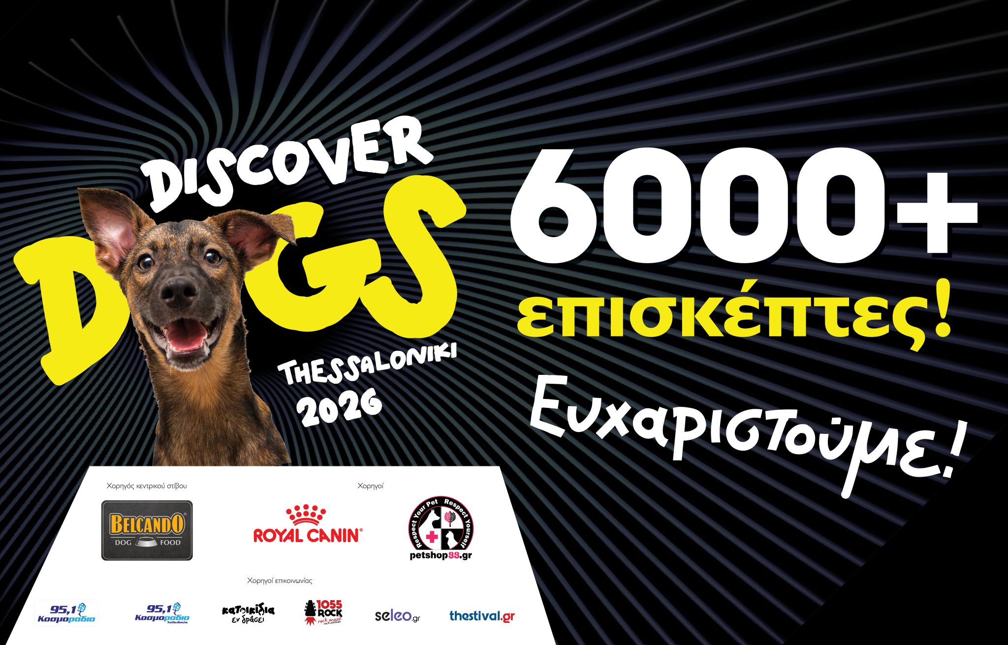 Οι 6+1 υπηρεσίες της πλατφόρμας Pet.gov.gr - Κατοικίδια εν δράσει